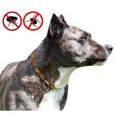 Flea Prevention with Baltic Amber For Dogs